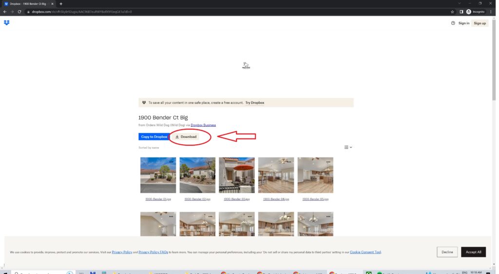 How to Download Photos from Dropbox | Wild Dog Digital